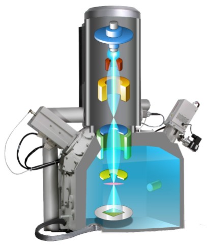 Scanning Electron Microscope Singapore | SEM